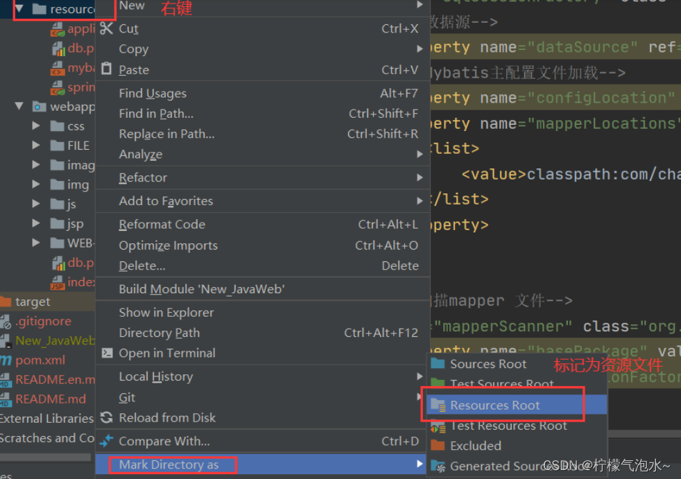 Resources文件夹报错org Springframework Beans Factory Beandefinitionstoreexception 极客之音